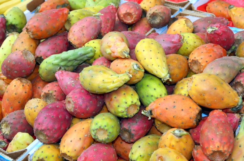 株式会社ネオネクリエーション｜フレグランスOEM・フレグランスボトル製造・アルガンオイル等原料取扱